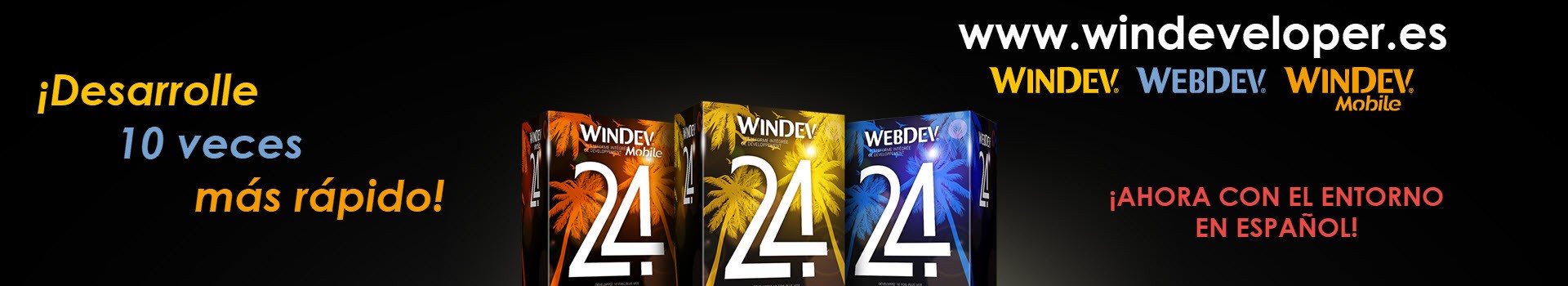 Vista general WEBDEV